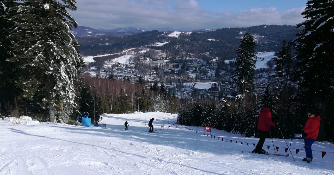 Skolnity Wisła - Wisla.com.pl