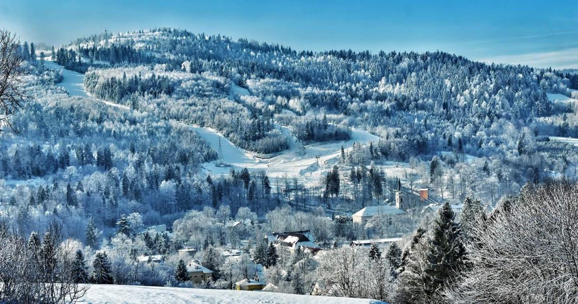 Skolnity Wisła - Wisla.com.pl